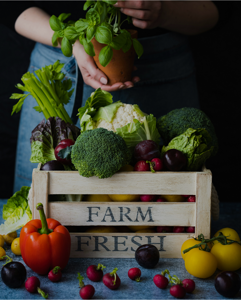 Dairy – Newton Farm Foods